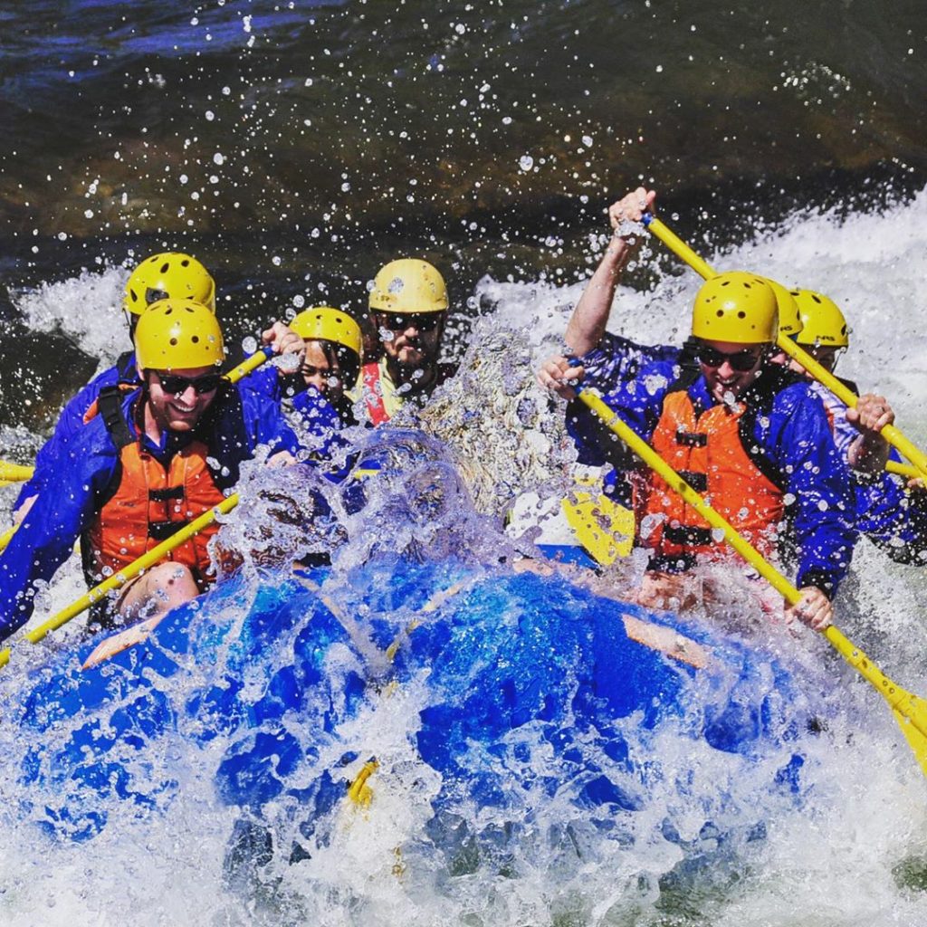 Career | Livable Cities Studio