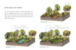 High Line Canal Framework Plan & Implementation – Livable Cites Studio